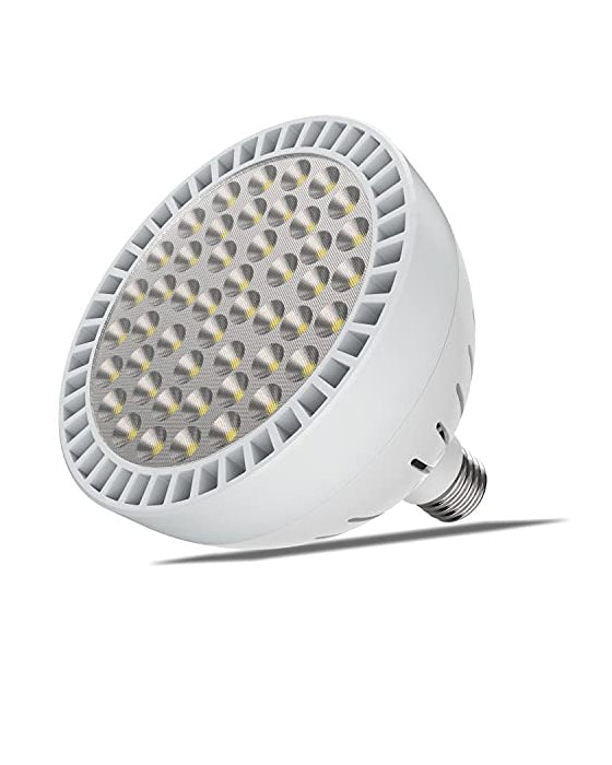 500w R40 Pool Light Bulb | Shelly Lighting